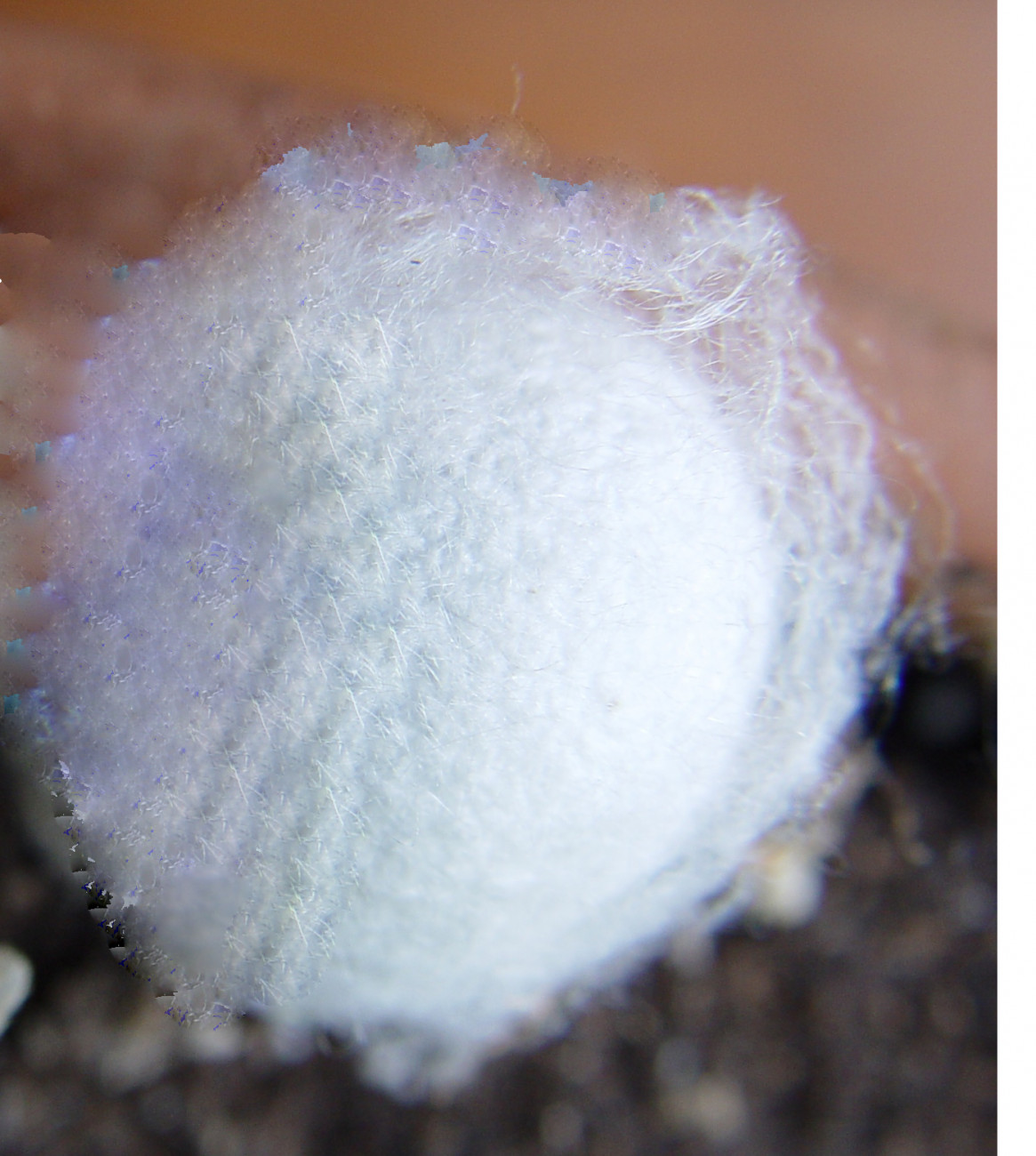 Über uns | Arbeitsstelle kokon